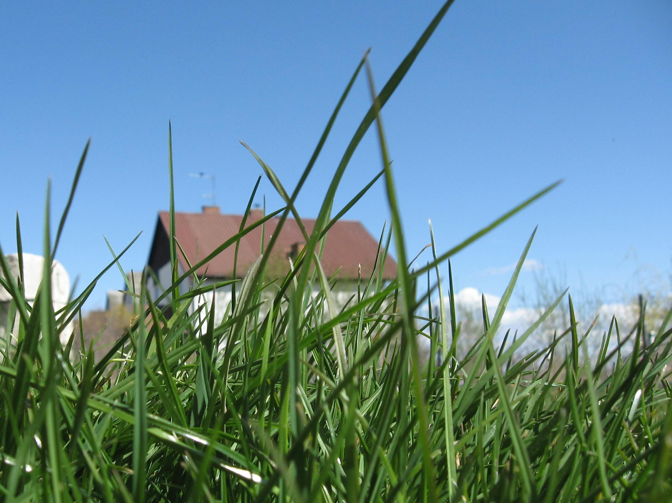 Rites of spring | Pro Builder