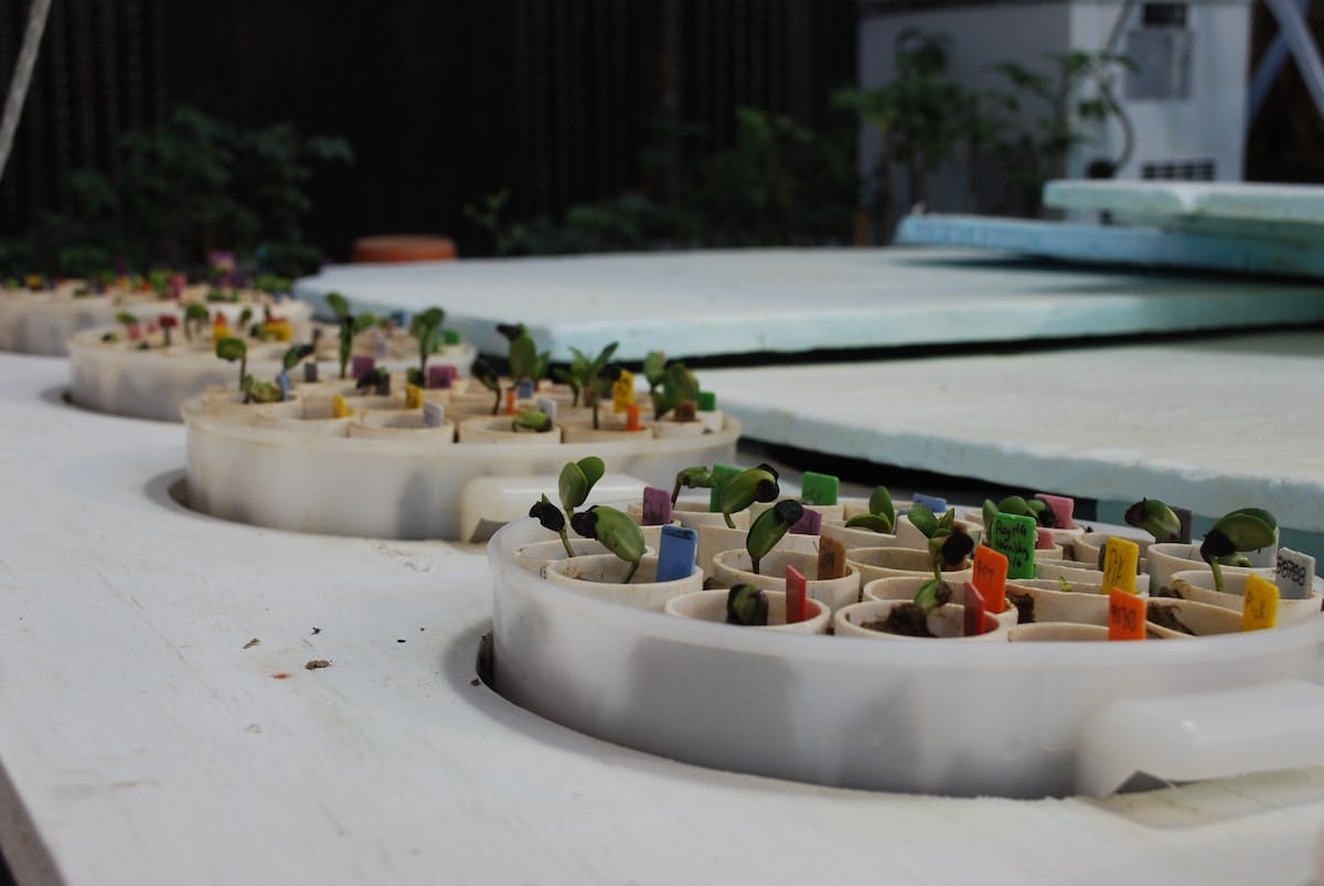 The Rise of Plant-Based Building Materials | Pro Builder